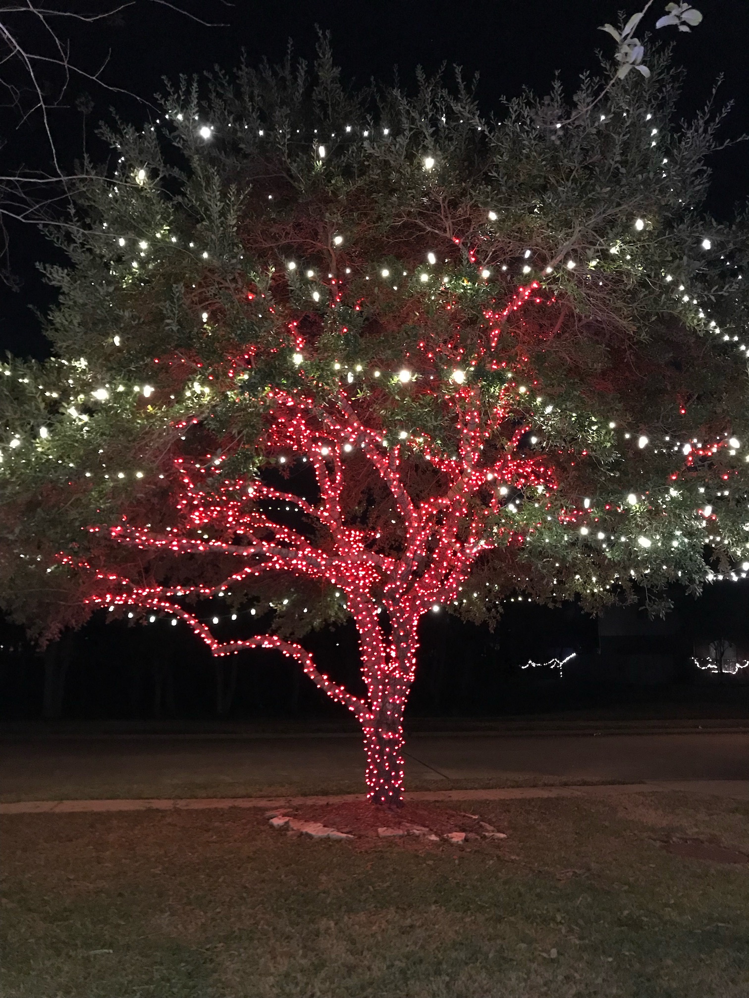 Christmas Light Installation Photo Gallery - No Fuss Lights