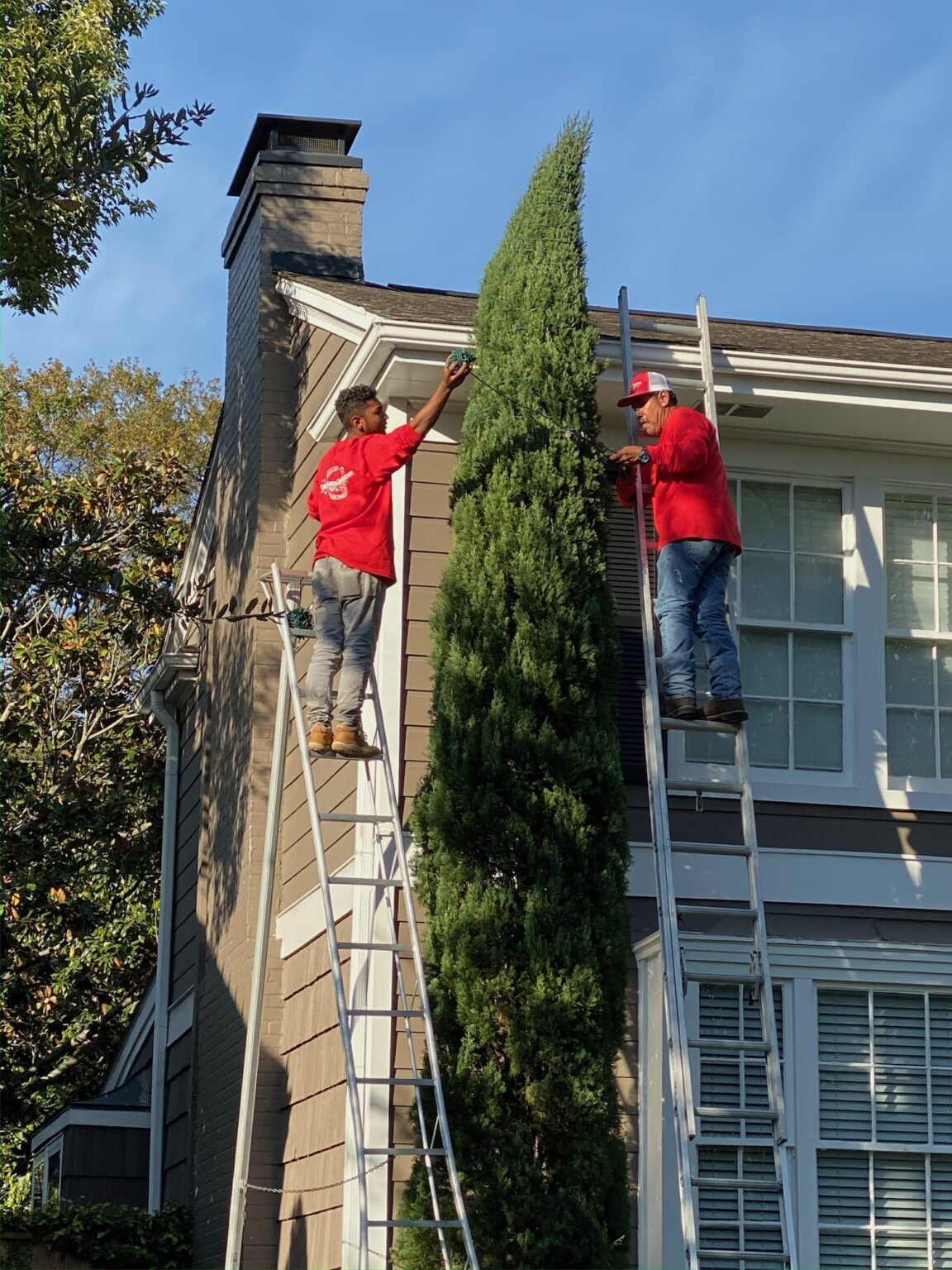 Christmas Light Installation Photo Gallery - No Fuss Lights