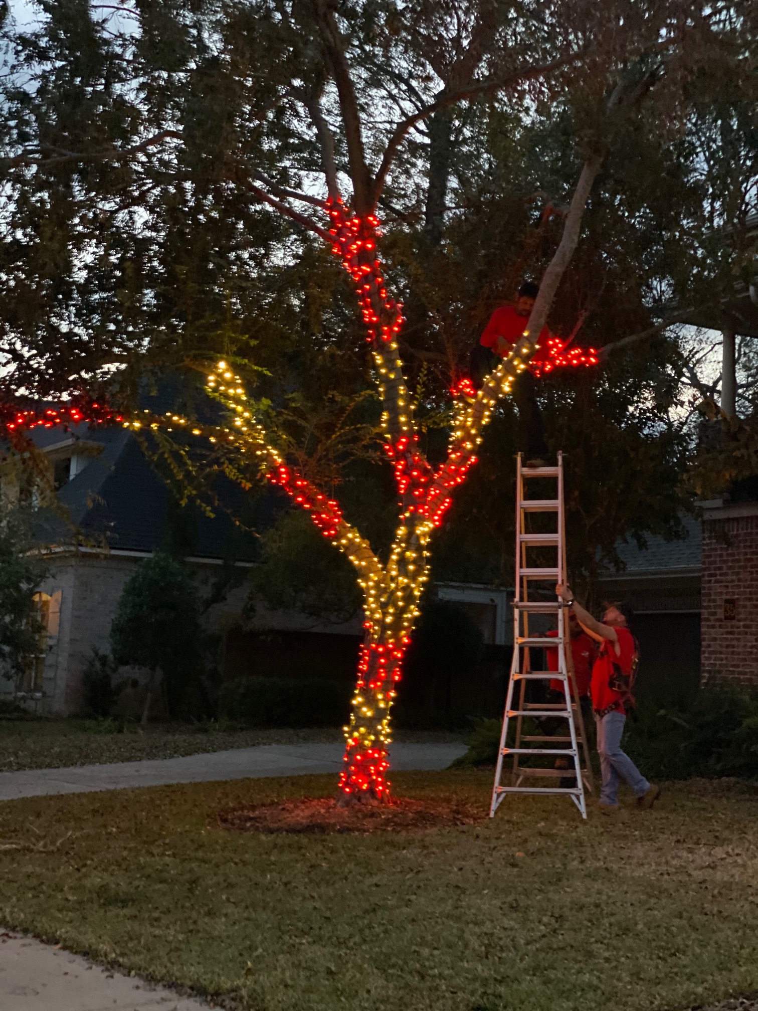 Christmas Light Installation Photo Gallery - No Fuss Lights