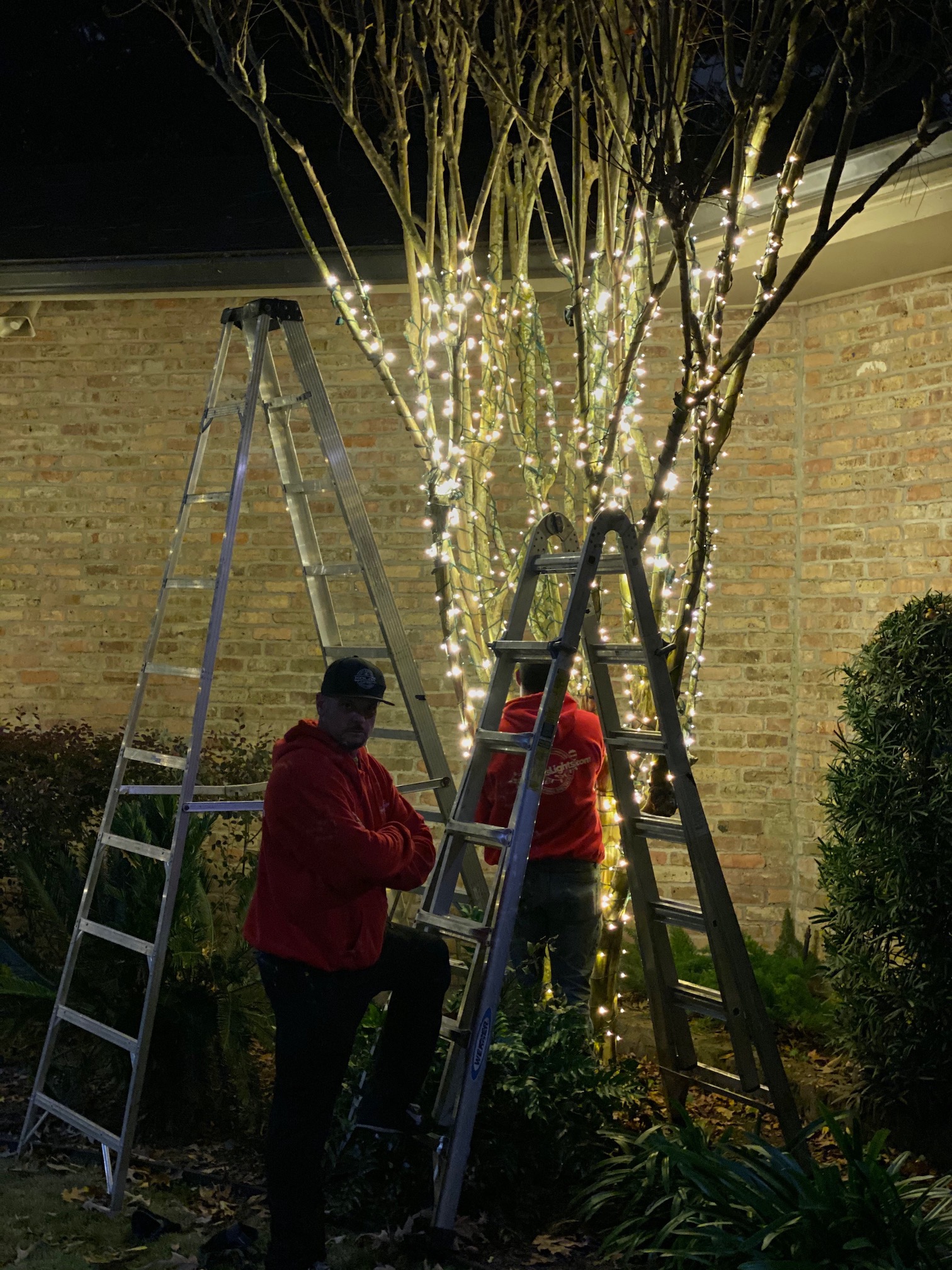 Home - No Fuss Lights