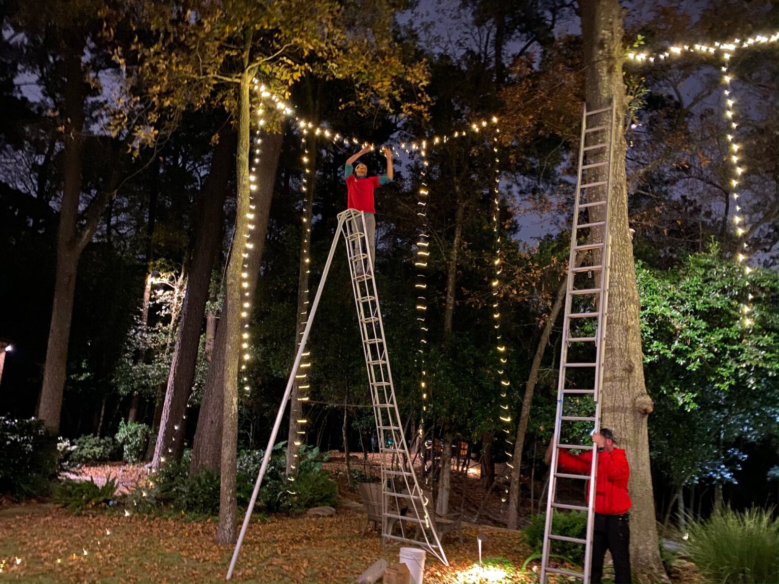 Christmas Light Installation Photo Gallery - No Fuss Lights