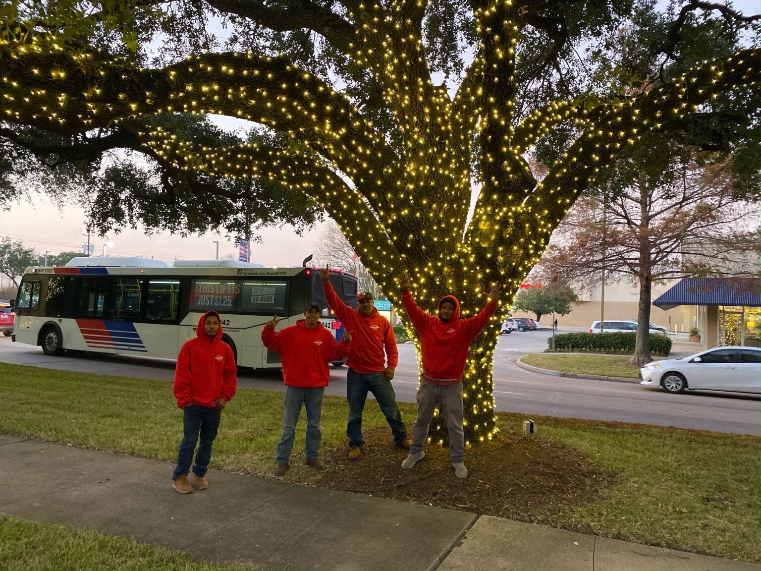 Christmas Light Installation Photo Gallery - No Fuss Lights