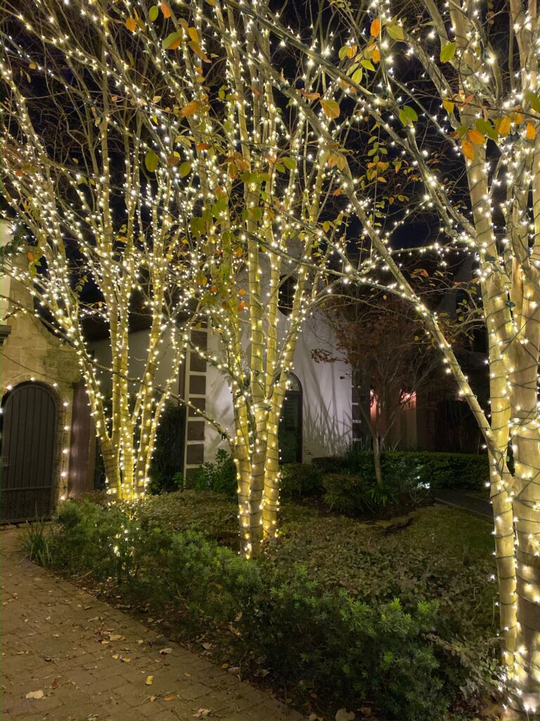 Christmas Light Installation Photo Gallery - No Fuss Lights