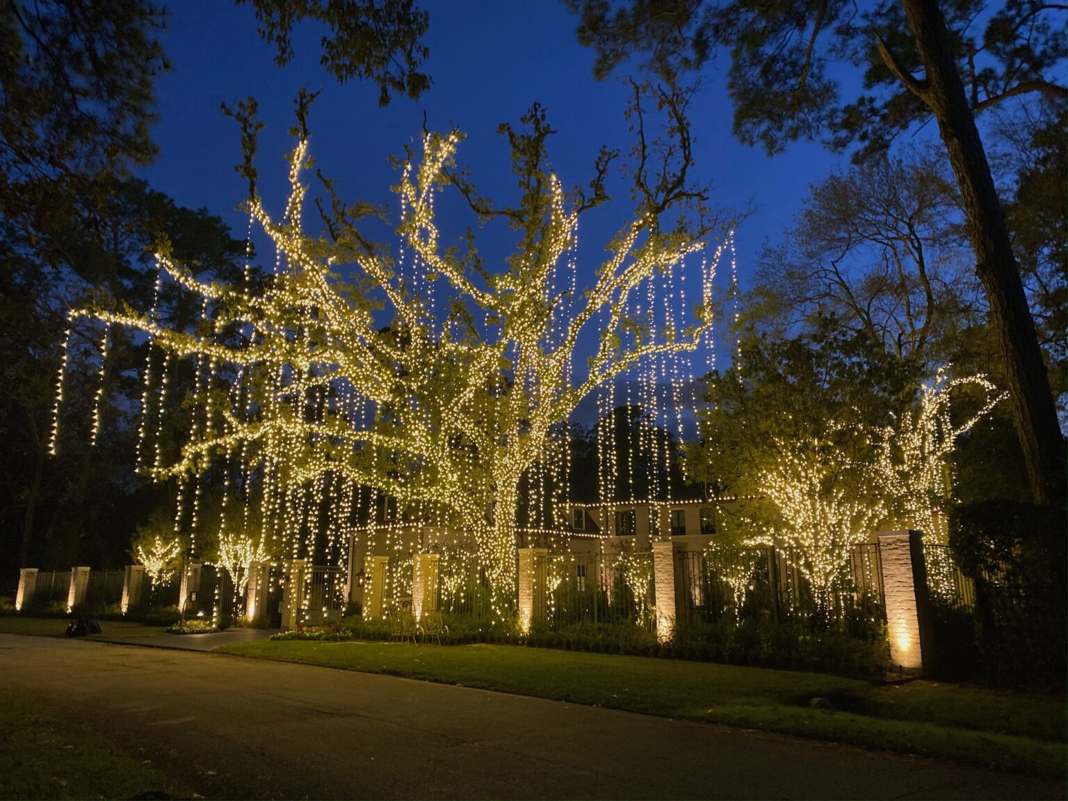 Christmas Light Installation Photo Gallery - No Fuss Lights