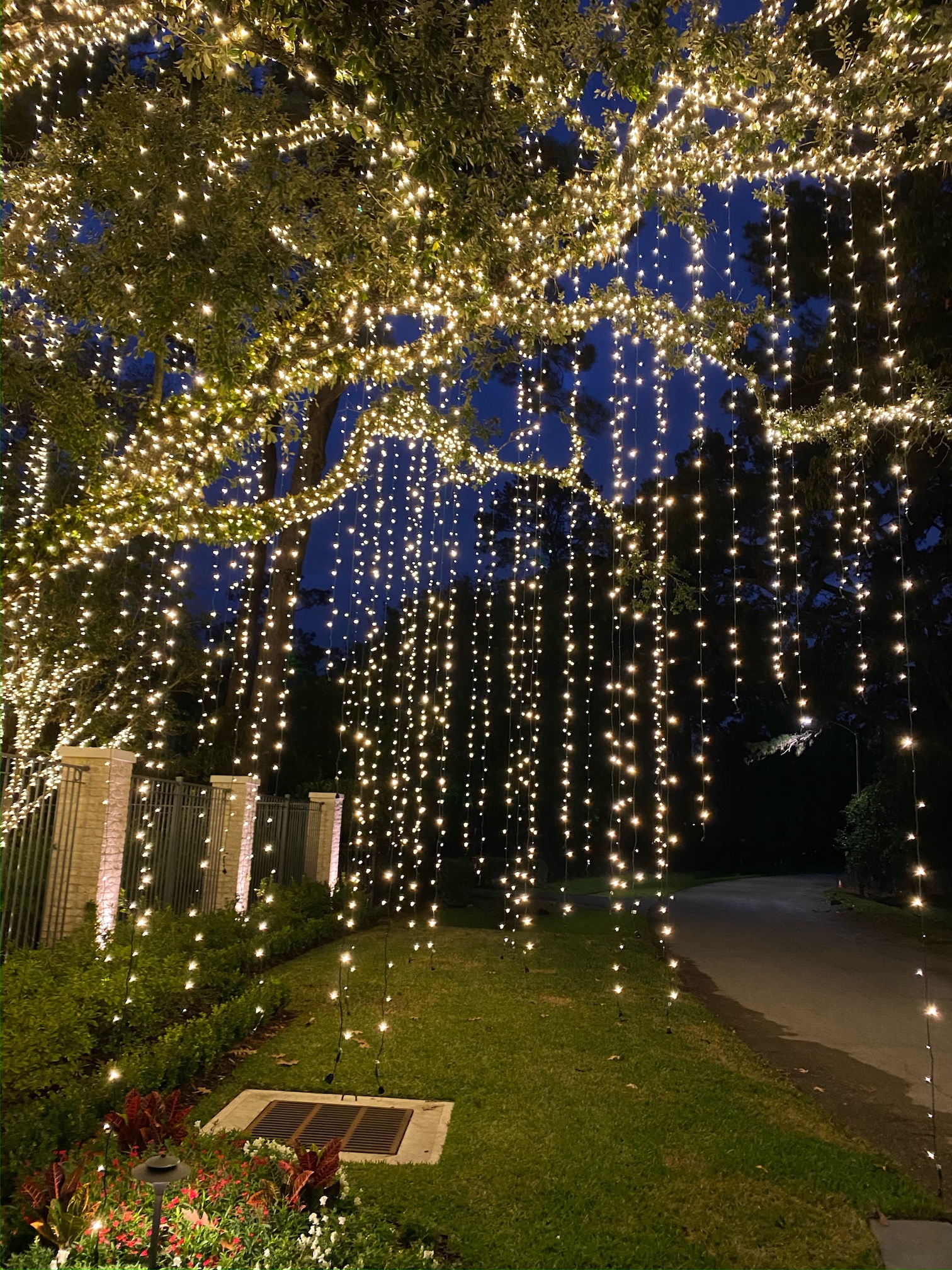 Christmas Light Installation Photo Gallery - No Fuss Lights